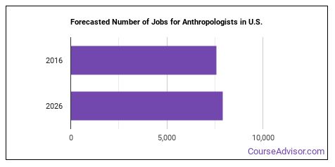 What Does an Anthropologist do? - Course Advisor