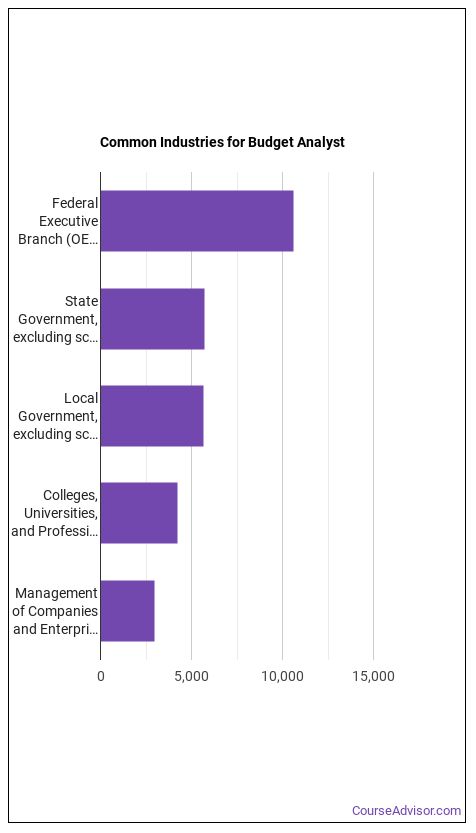 Should You Become a Budget Analyst? - Course Advisor