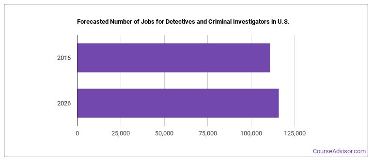 How to Become a Detective or Criminal Investigator & What Do They Do ...