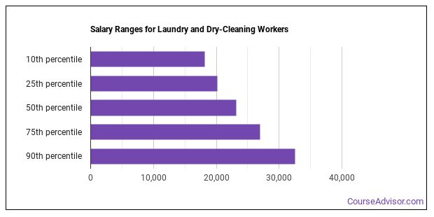 How to Become a Laundry and Dry-Cleaning Worker & What Do They Do ...