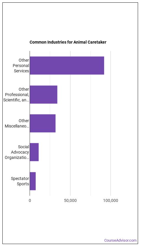 Is Animal Caretaker a Good Job? - Course Advisor