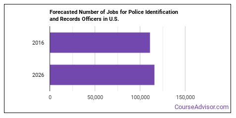 What is a Police Identification and Records Officer & What do They Do ...