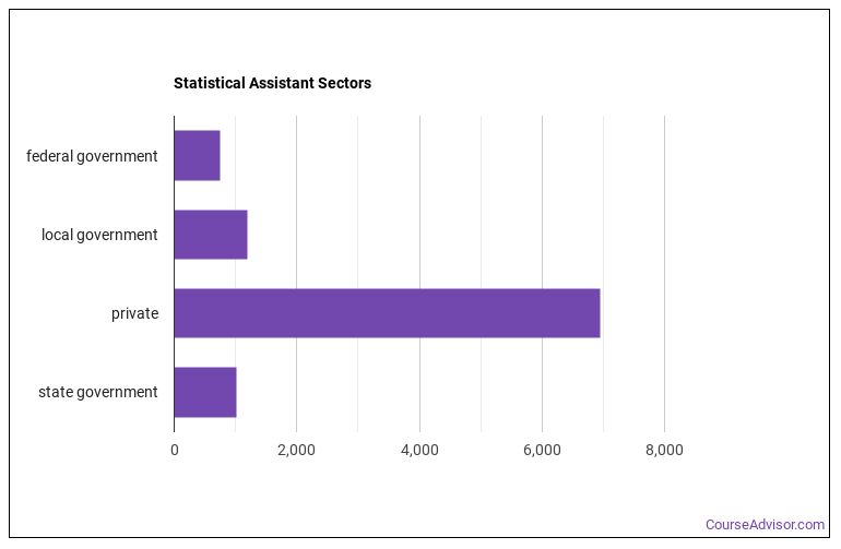 How to Become a Statistical Assistant & What Do They Do? - Course Advisor
