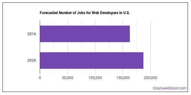What's It Like Being a Web Developer? - Course Advisor