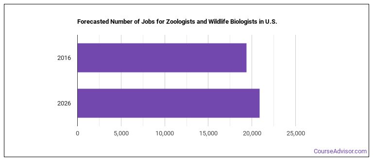 What Does a Zoologist and Wildlife Biologist do? - Course Advisor