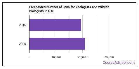 What Does a Zoologist and Wildlife Biologist do? - Course Advisor
