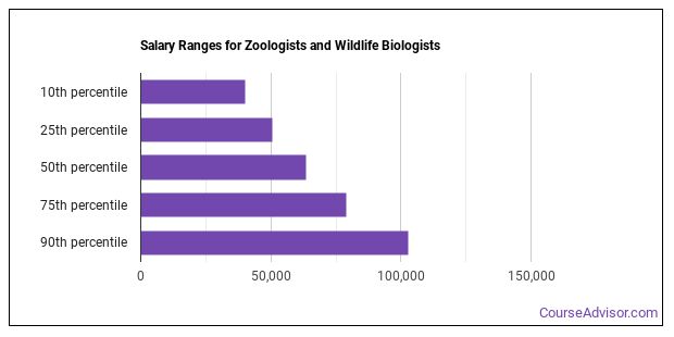 What Does a Zoologist and Wildlife Biologist do? - Course Advisor