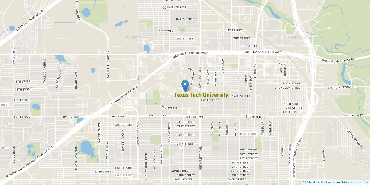 Texas Tech University - Course Advisor