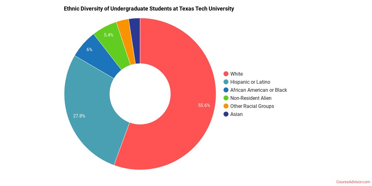 Texas Tech University - Course Advisor