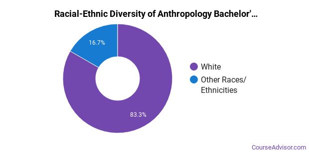 The Anthropology Major at Augusta University - Course Advisor