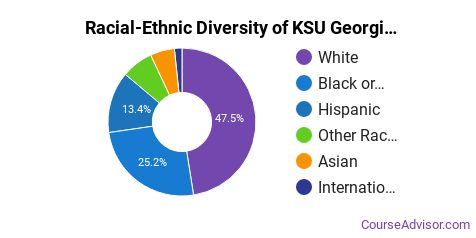 Kennesaw State University Overview - Course Advisor