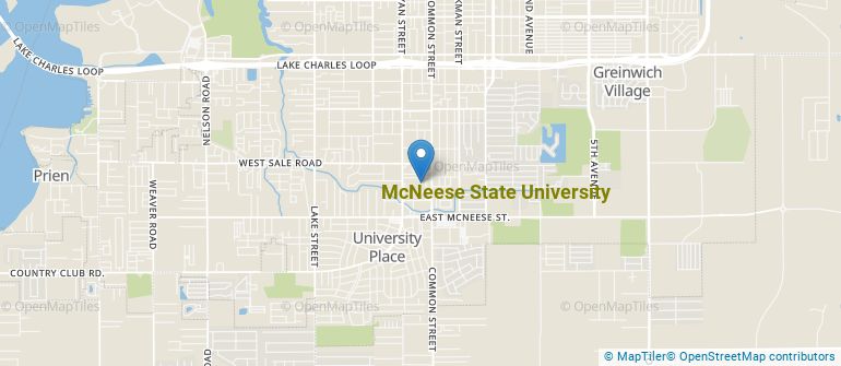 McNeese State University Overview - Course Advisor