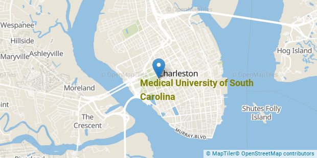 Medical University of South Carolina Overview - Course Advisor