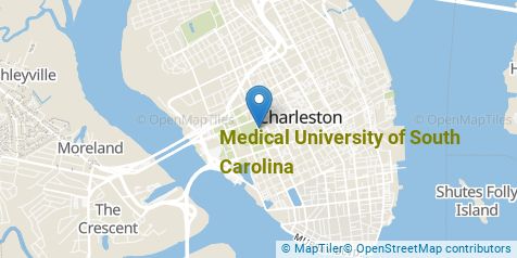 Medical University of South Carolina Overview - Course Advisor