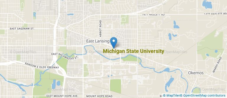 Michigan State University Overview - Course Advisor