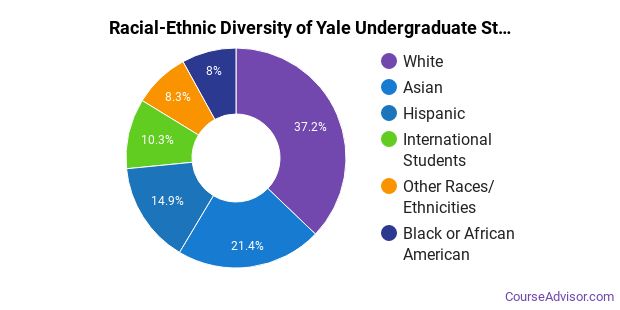Yale University Overview - Course Advisor