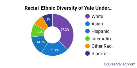 Yale University Overview - Course Advisor