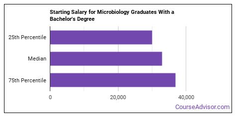 What Can Microbiology Science & Immunology Majors Do? Salary Info ...