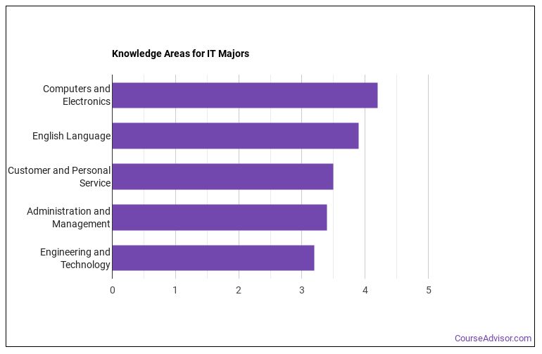 IT Majors: Salary Info & Career Options - Course Advisor
